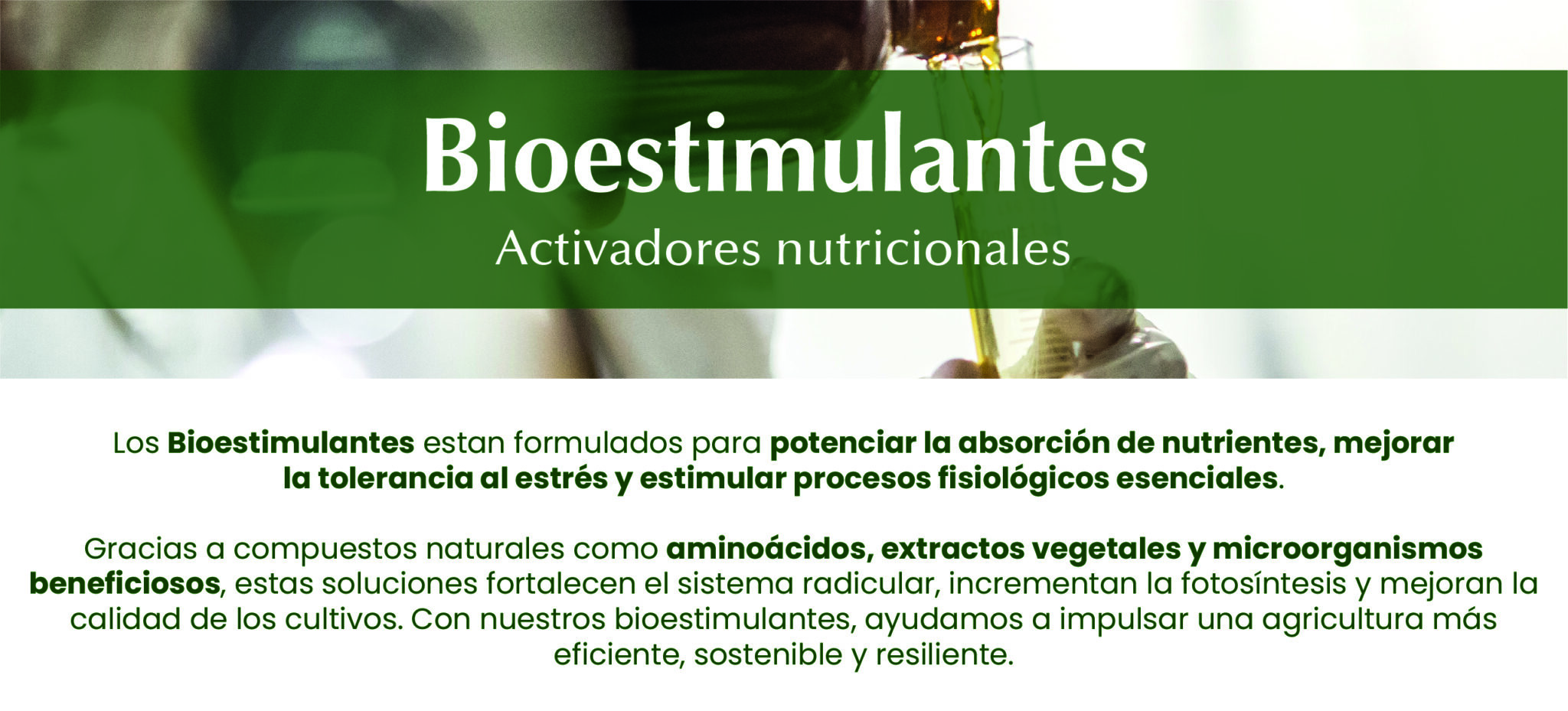 Bioestimulantes archivos - Vellsam